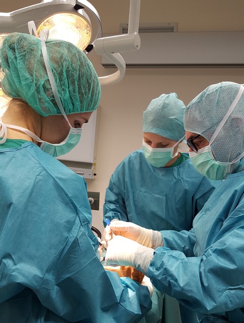 OP-Standorte: Dr. med. T. Raslan Orthopäde & Sportarzt Berlin